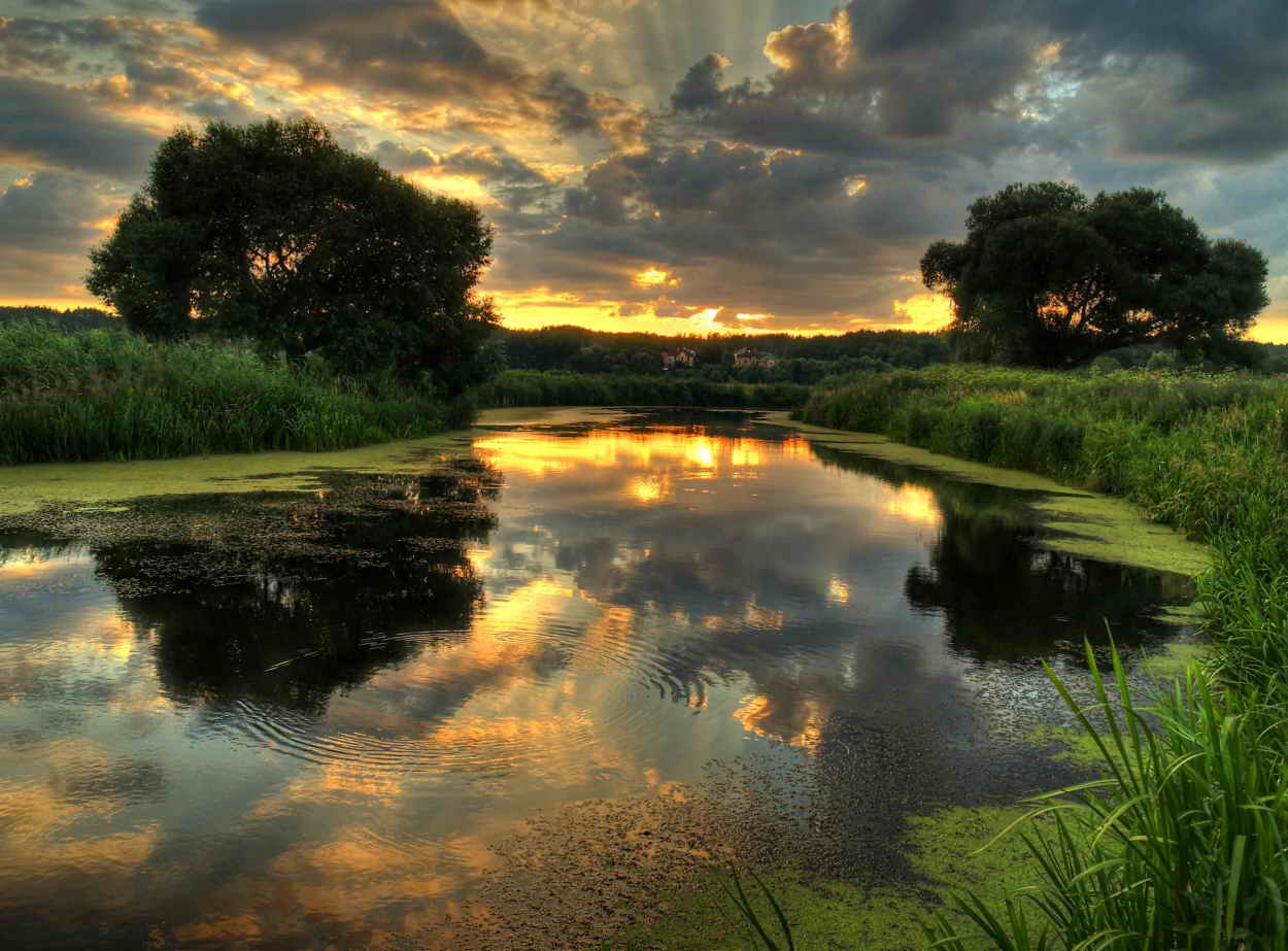 Умиротворённость