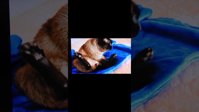 КОМУ БЫ ВДУТЬ