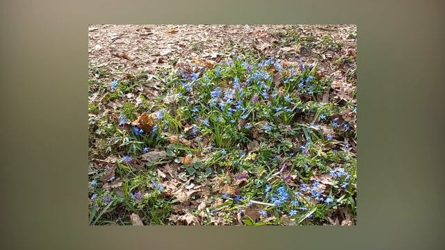 С Днем села Новая Усмань