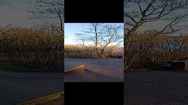 Выборг  парк Монрепо