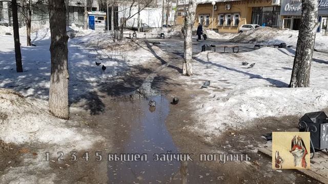 23 03 2022 Казань Весна Погода Голуби