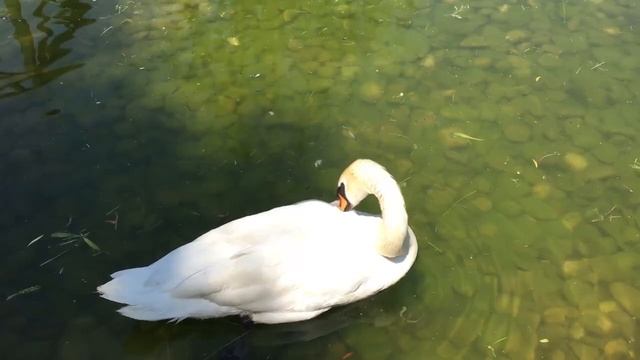 #7 ГРУЗИЯ || ЦМИНДА САМЕБА || ВКУСНЕЙШИЕ ВОДЫ ЛАГИДЗЕ || НОЧНОЙ ТБИЛИСИ