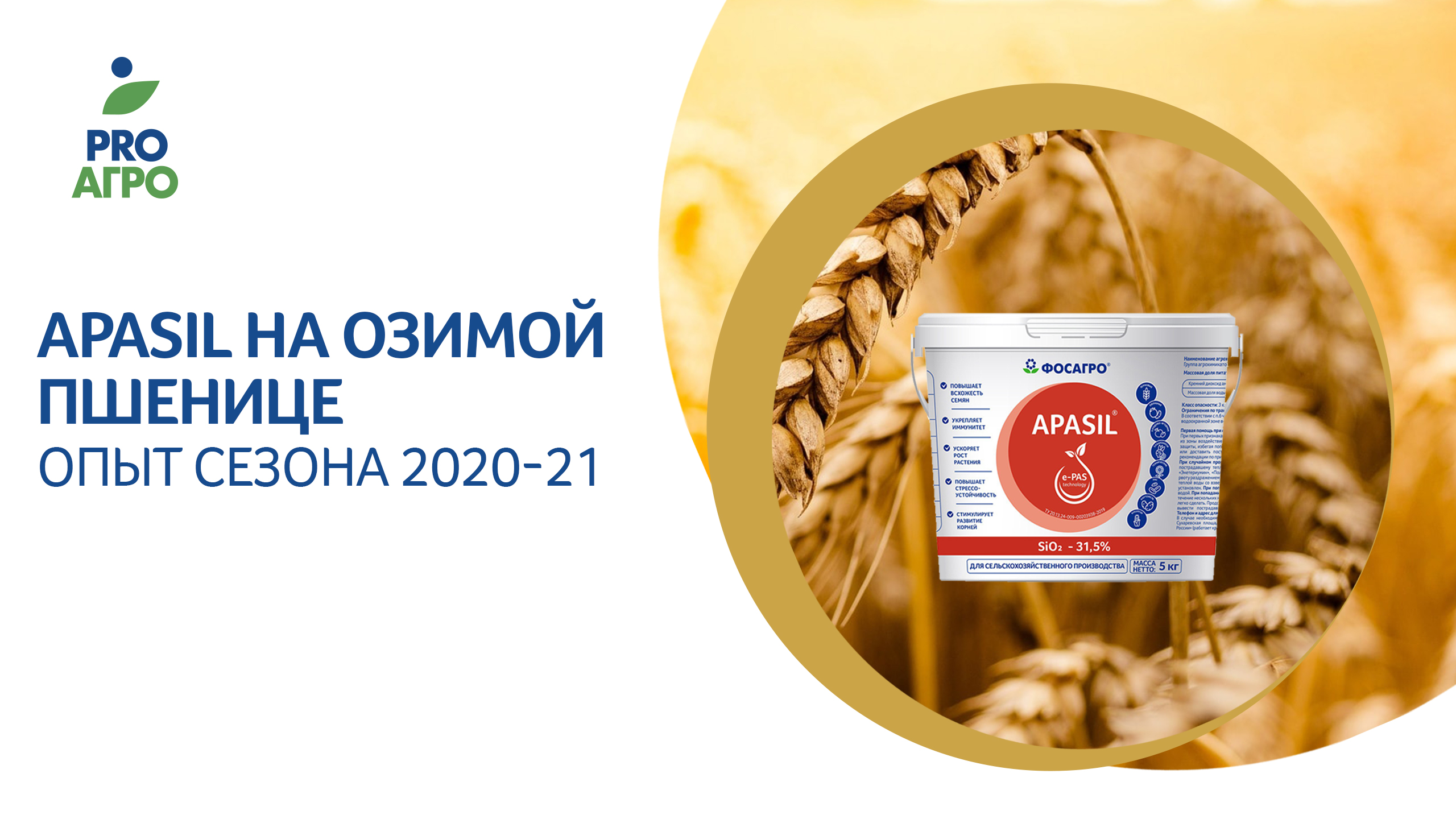 Apasil на озимой пшенице | Опыт сезона 2020-21