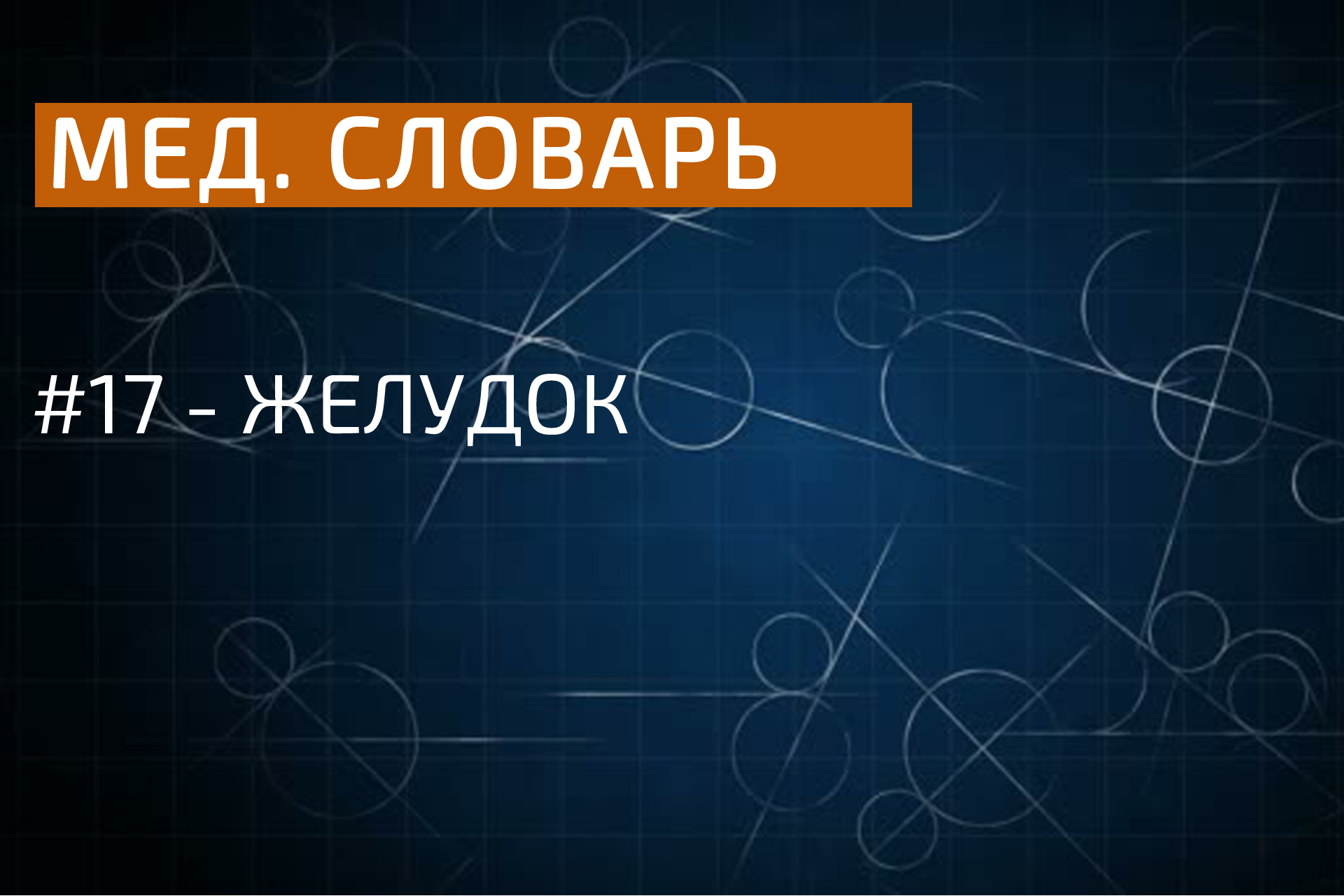 Медицинский словарь: желудок
