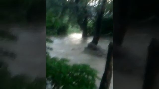 Ставропольский край, ст. Зольская 11.06.2014