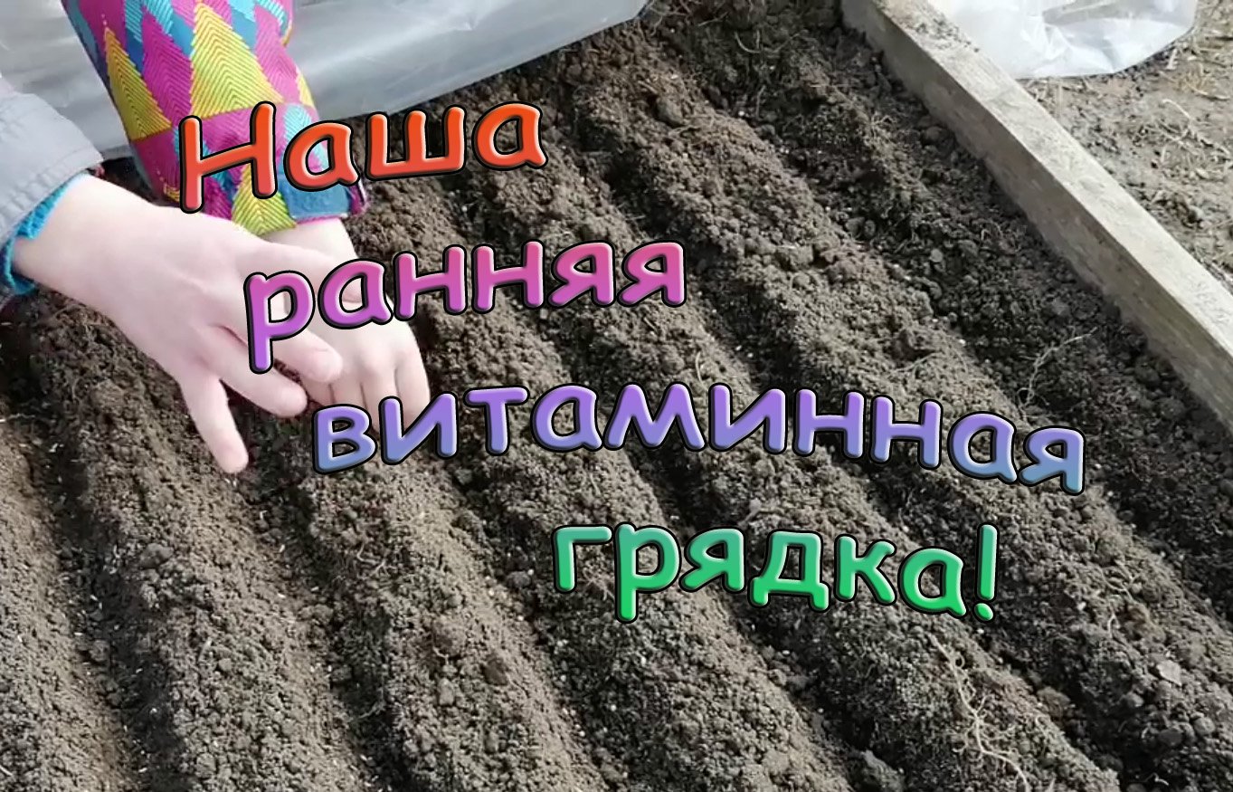 Ранняя витаминная грядка. Подготовка почвы и посев.
