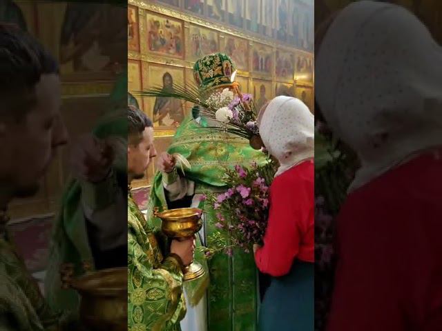 Поздравляем нашего любимого отца Геннадия с  Вербным Воскресением! С рукоположением в священники!