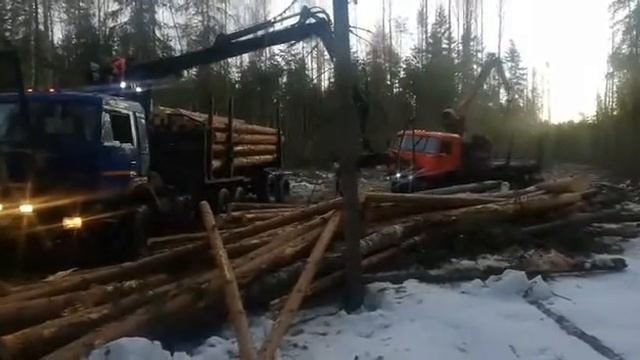 погрузка леса на площадке в лесу.mp4