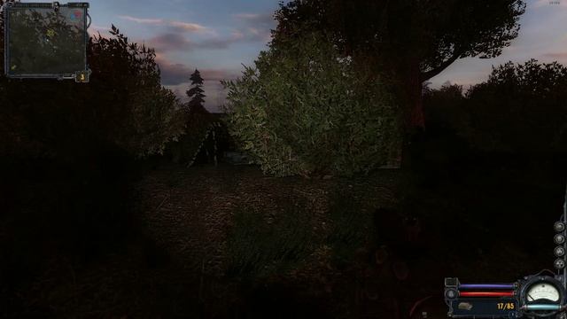 S.T.A.L.K.E.R.: Чистое небо