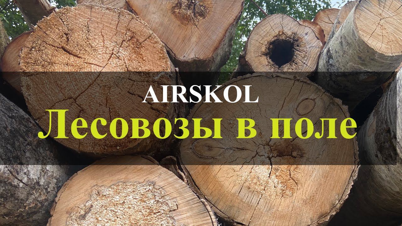 Опять брёвна - для нашего города!