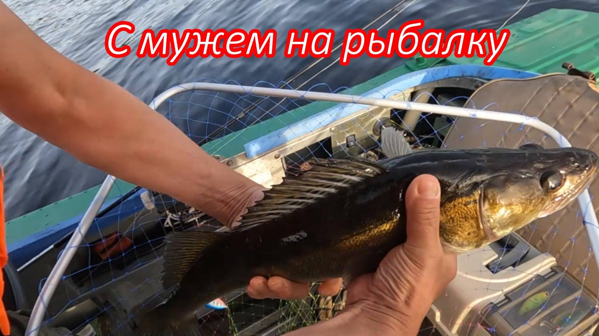 Середина июня, а муж не поймал ещё ни одной рыбы. Взяла его с собой.