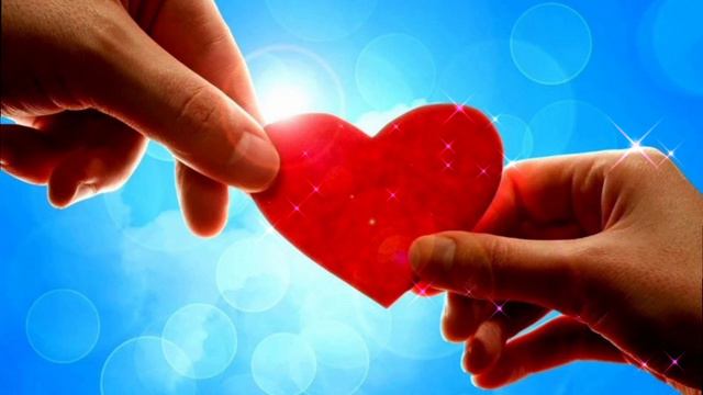 Любите друг друга.