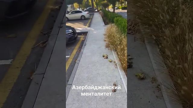 азербайджанский менталитет