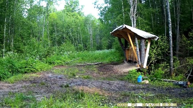 Птицы, запечатленные на фото ловушку. Часть № 26