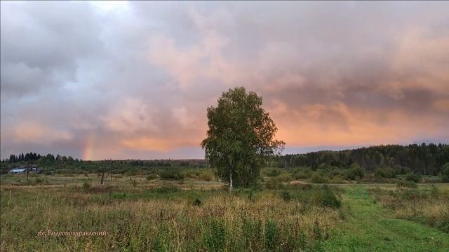 Что такое счастье! Мотивационное видео!