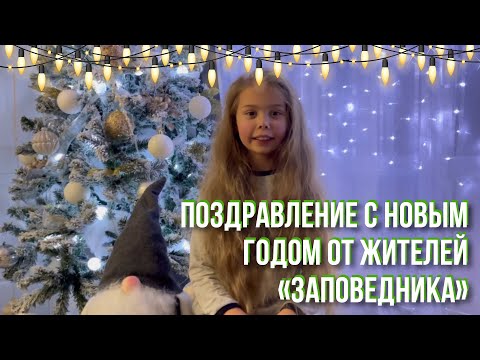 Соседи в "Заповеднике" - поздравление с Новым годом? Василина из поселка "Сокол"