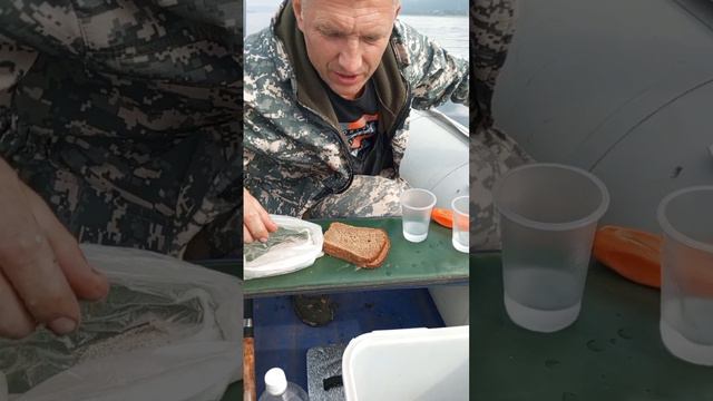 лучшая закуска на рыбалке)