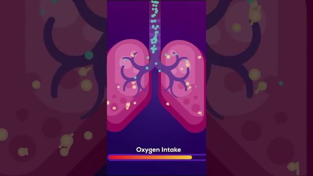 Что такое шрам и рубец?