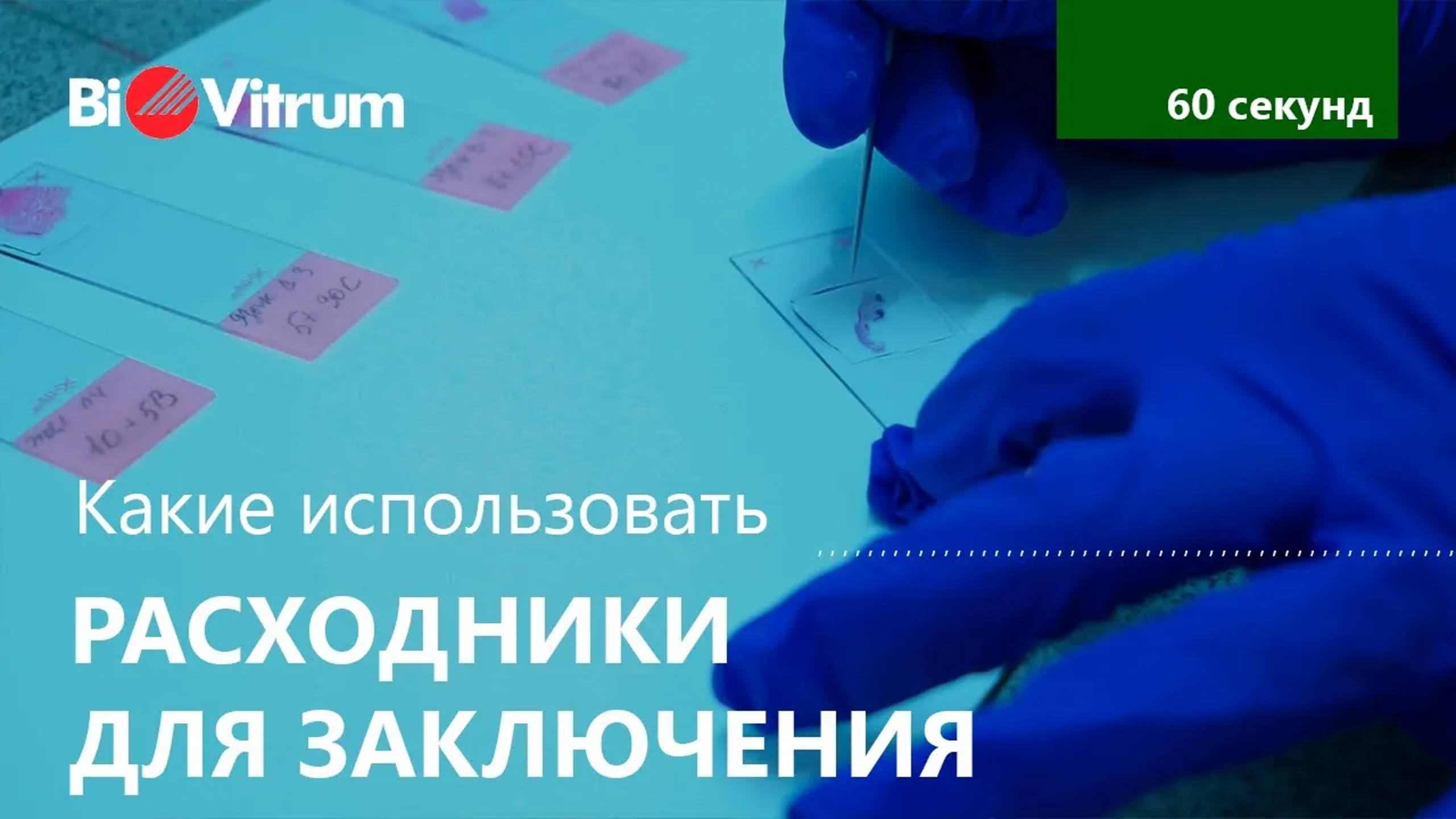Расходники для заключения: что нужно?