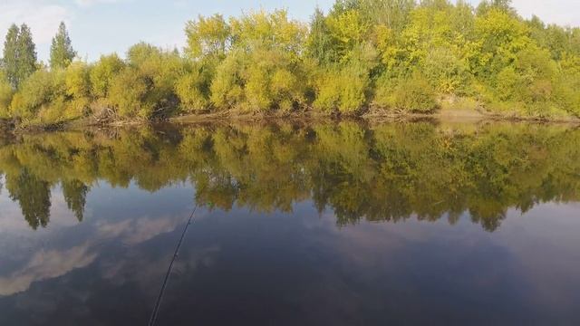 Река. Донки.