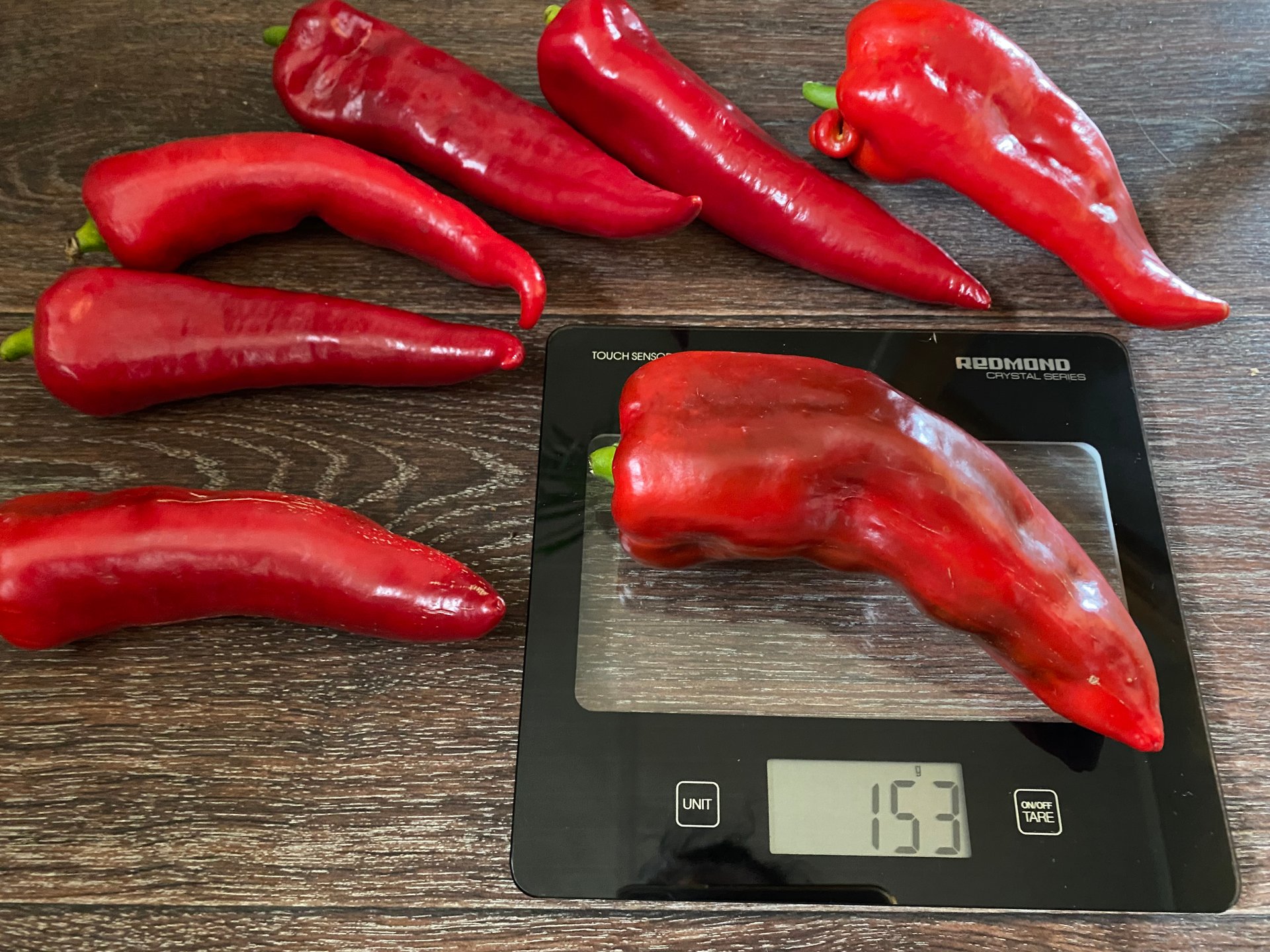 Урожай перца из своих семян. 17 сентября 2023 года.