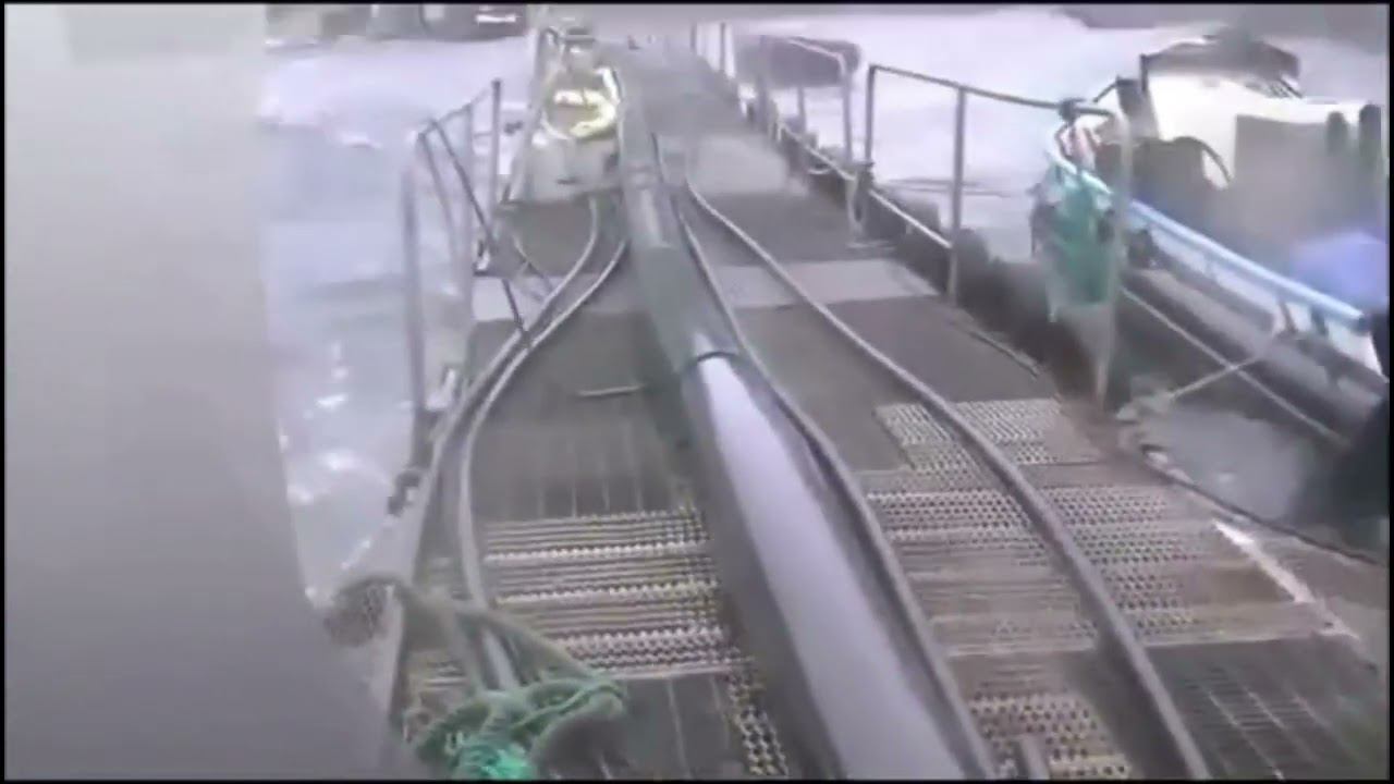 Насос для перекачки живой рыбы Euskan VSB 3000