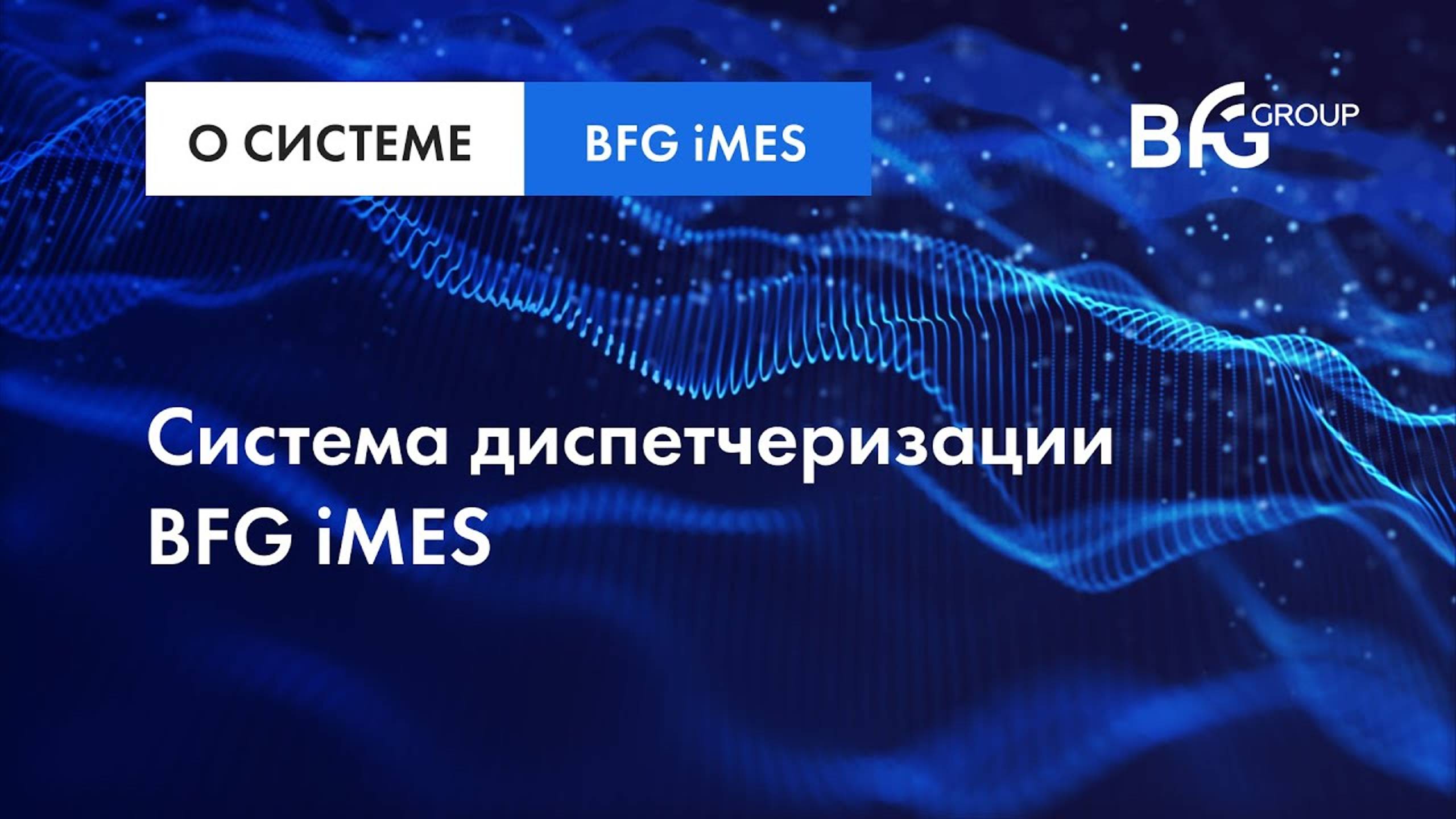 Обзор функциональных возможностей системы диспетчеризации BFG iMES. Партионный учет