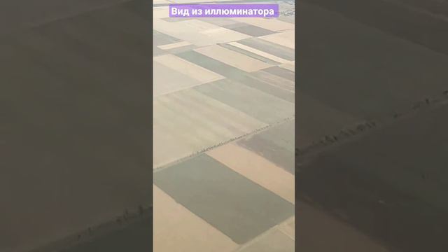 Вид из иллюминатора самолета. Поля. Александра Миркушова
