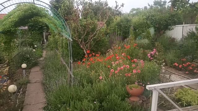 С Праздником Соотечественники. С днём России.