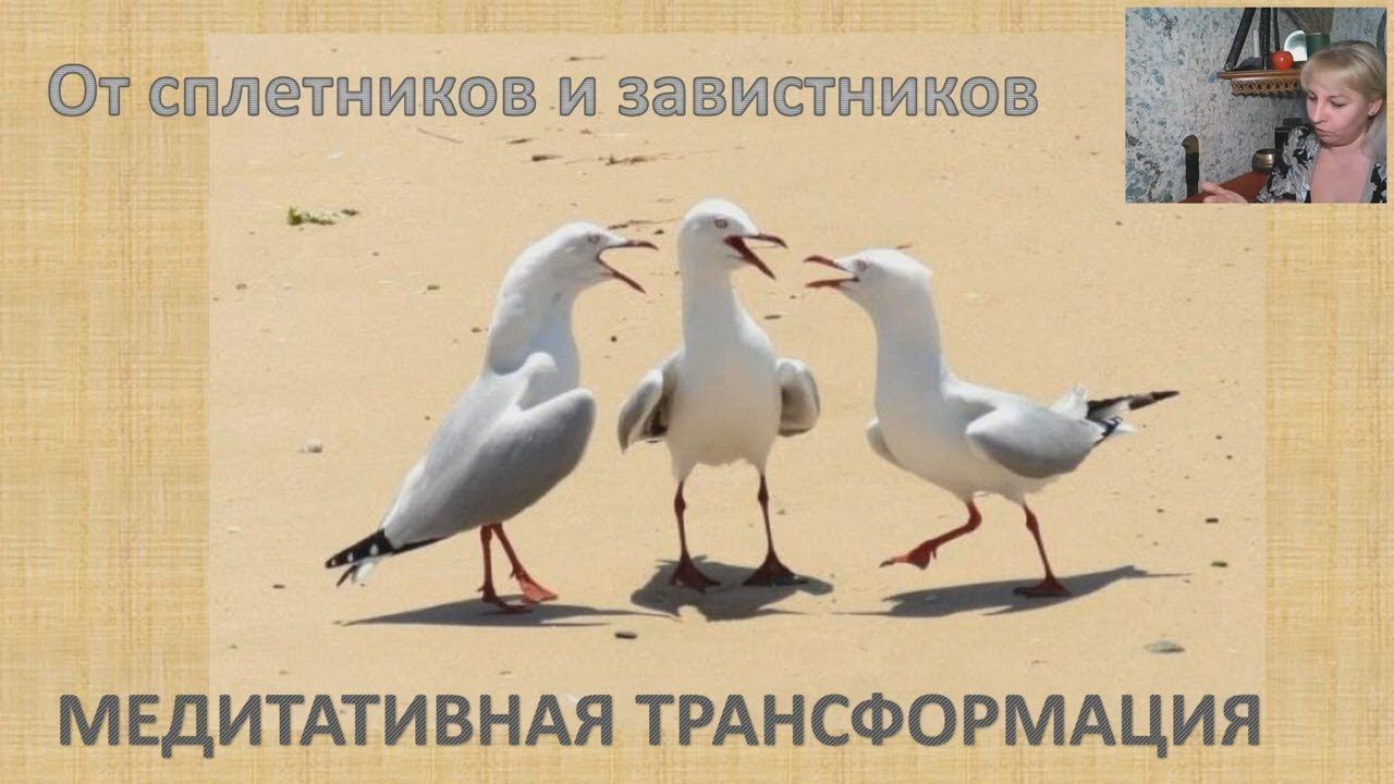 практика ТРАНСФОРМАЦИЯ От сплетников и завистников  / Наталия Рунная #рунныймаг