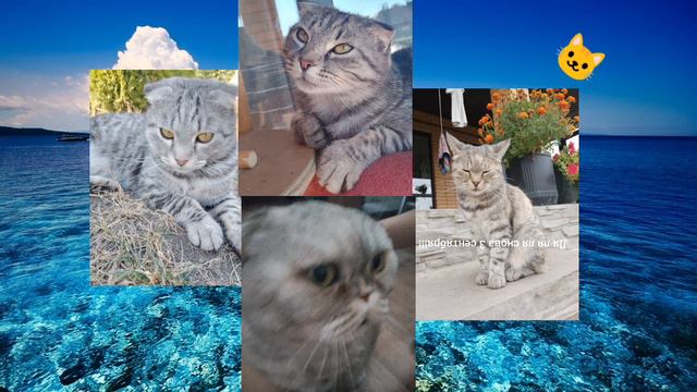 смешно 6 часть🤣🤣🤣🤣🤣 щ