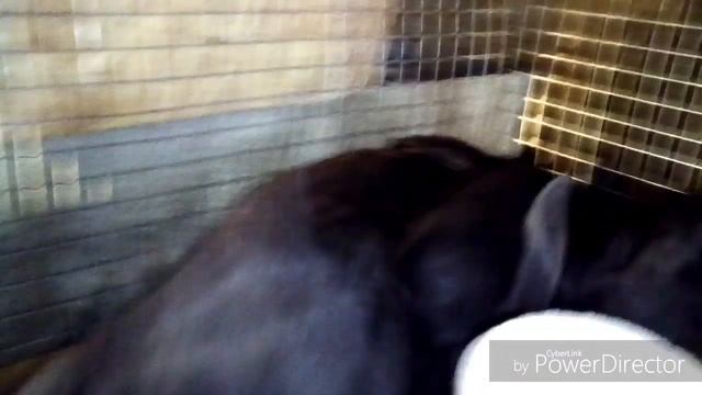 2019,Обзор хозяйства,февраль.