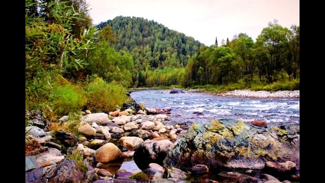 Библия. 25-31. Книга Иова (31). Завет положил я с глазами моими. Берега реки.