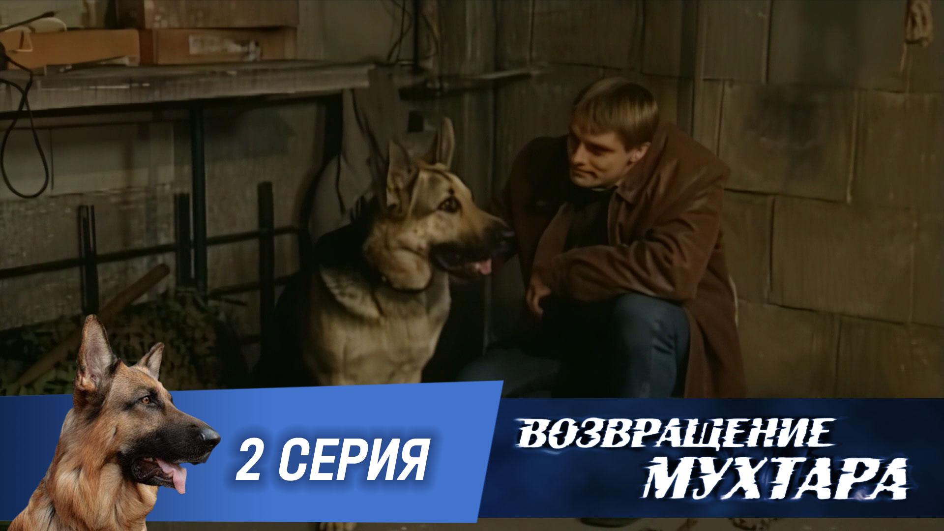 «Возвращение Мухтара»: «Черный вексель». Часть 2 (1 сезон. 2 серия)