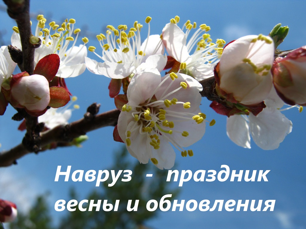 Празднование Навруз