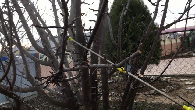 Опрыскиватель электрический для деревьев и растений с аккумулятором