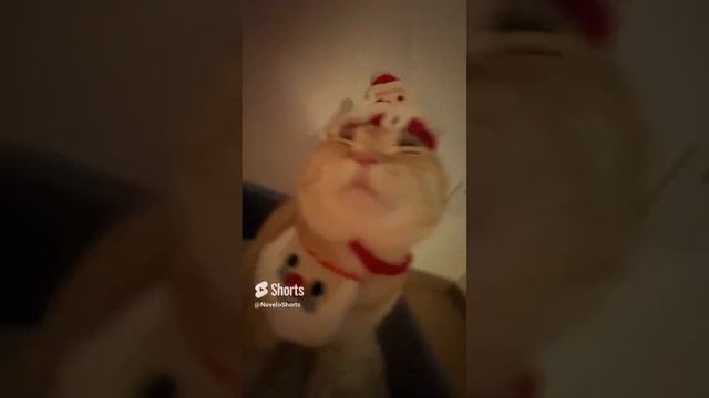 Котёнок 2023, часть № 23, новогодняя дискотека ?