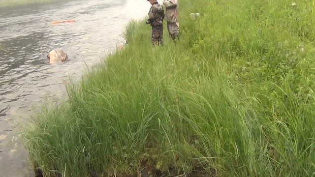 4 серия Ловля Тайменя на Спиннинг Мышь,  ловля Хариуса на Балду Тирольская палочка река Лендаха