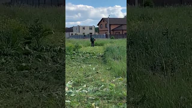 Покос травы