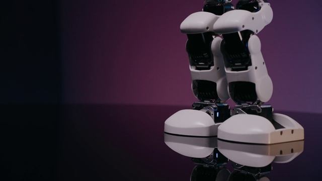 Пилигрим-Робот.mp4