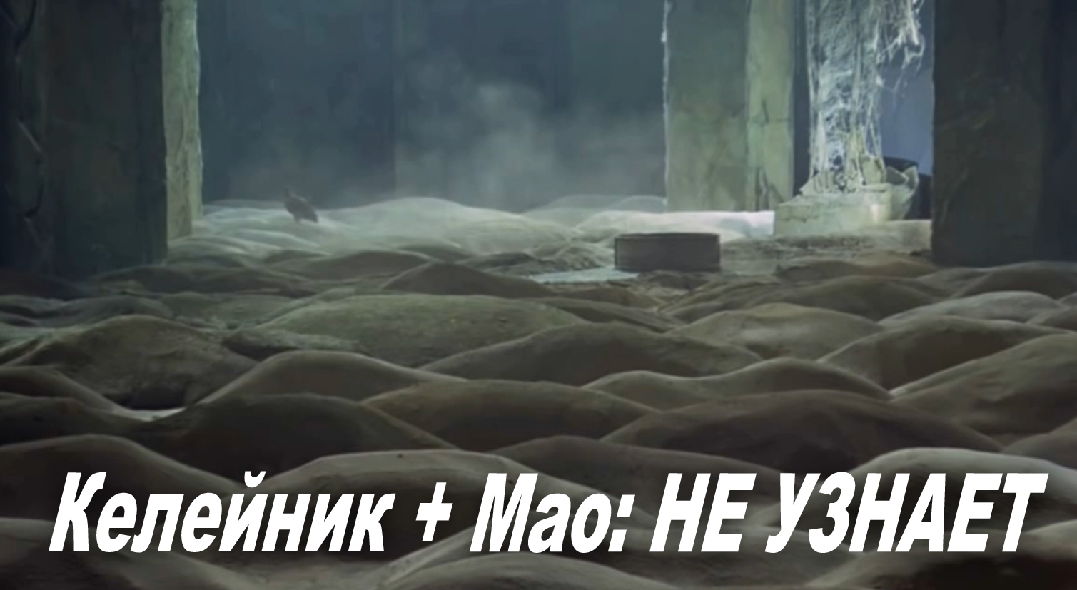 Келейник + Мао: Не узнает