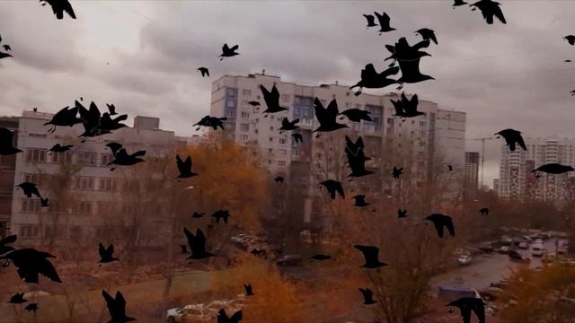 Хромакей в After Effects Дополненная реальность_1080p(1).mp4