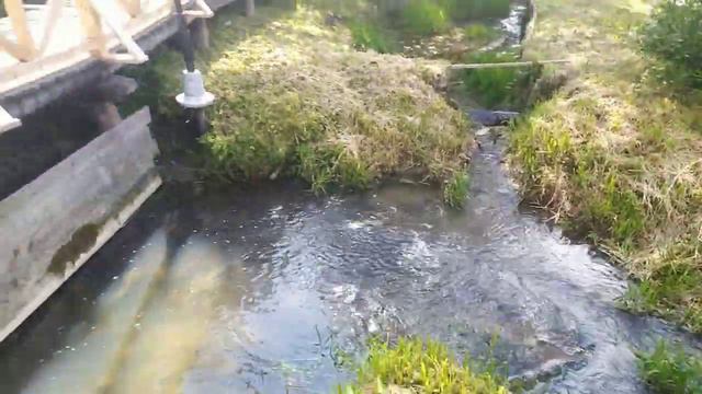 Гремячий ключ, родник Сергия Радонежского, Московская область