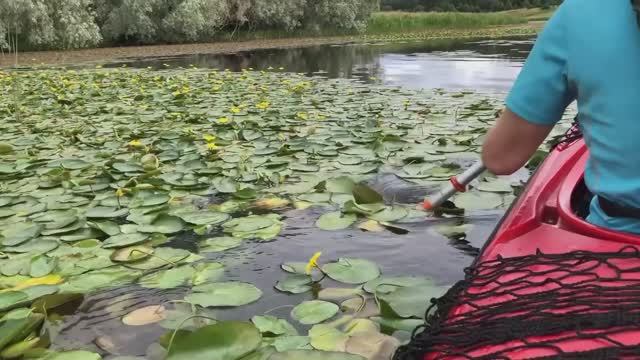 Необыкновенные приключения финнов на Амазонке.