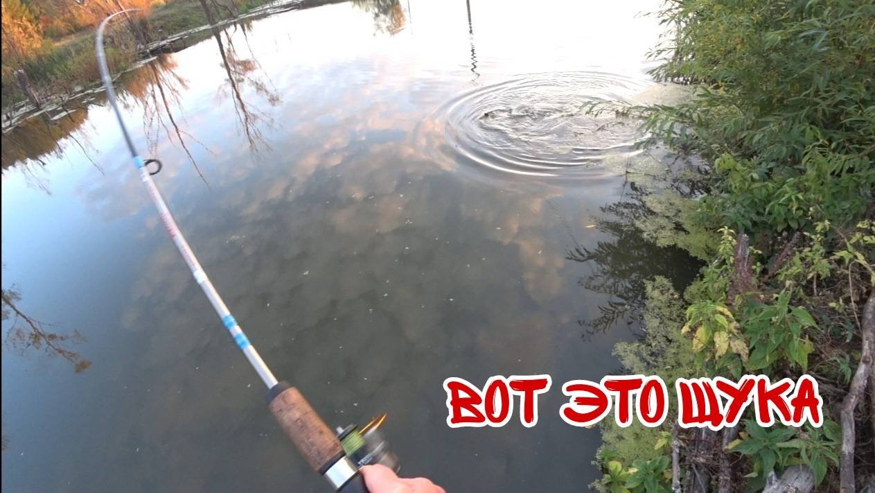 САМЫЙ ЛУЧШИЙ МОМЕНТ В РЫБАЛКЕ ЭТО ПОКЛЕВКА РЫБЫ И ВЫВАЖИВАНИЕ. ЩУКА НА СПИННИНГ 2024 ГОДА!