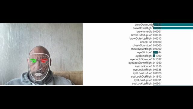 Эксперименты по определению частей лица /  Face Landmark Detection