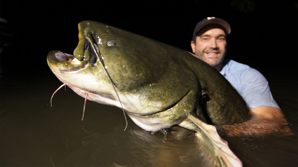 206.Усатый великан в РР 3 Bear.mp4