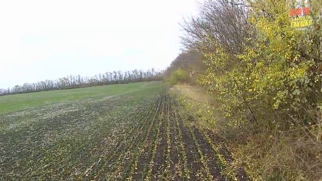 ХИТРЫЙ ЗАЯЦ (охота на зайца #2) Сезон 2017-2018.mp4