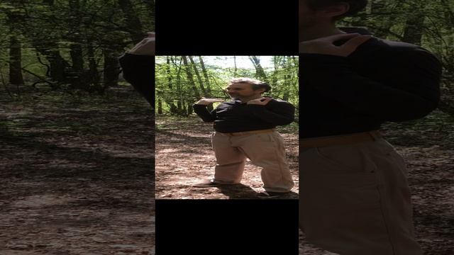 "Прогибы как пружина" - упражнение из комплекса Цигун Иньян-1