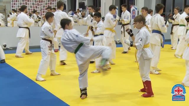 25.11.2020 г. Мастер-класс "Ударная техника онлайн" в рамках Спортивного форума по киокусинкай 2020